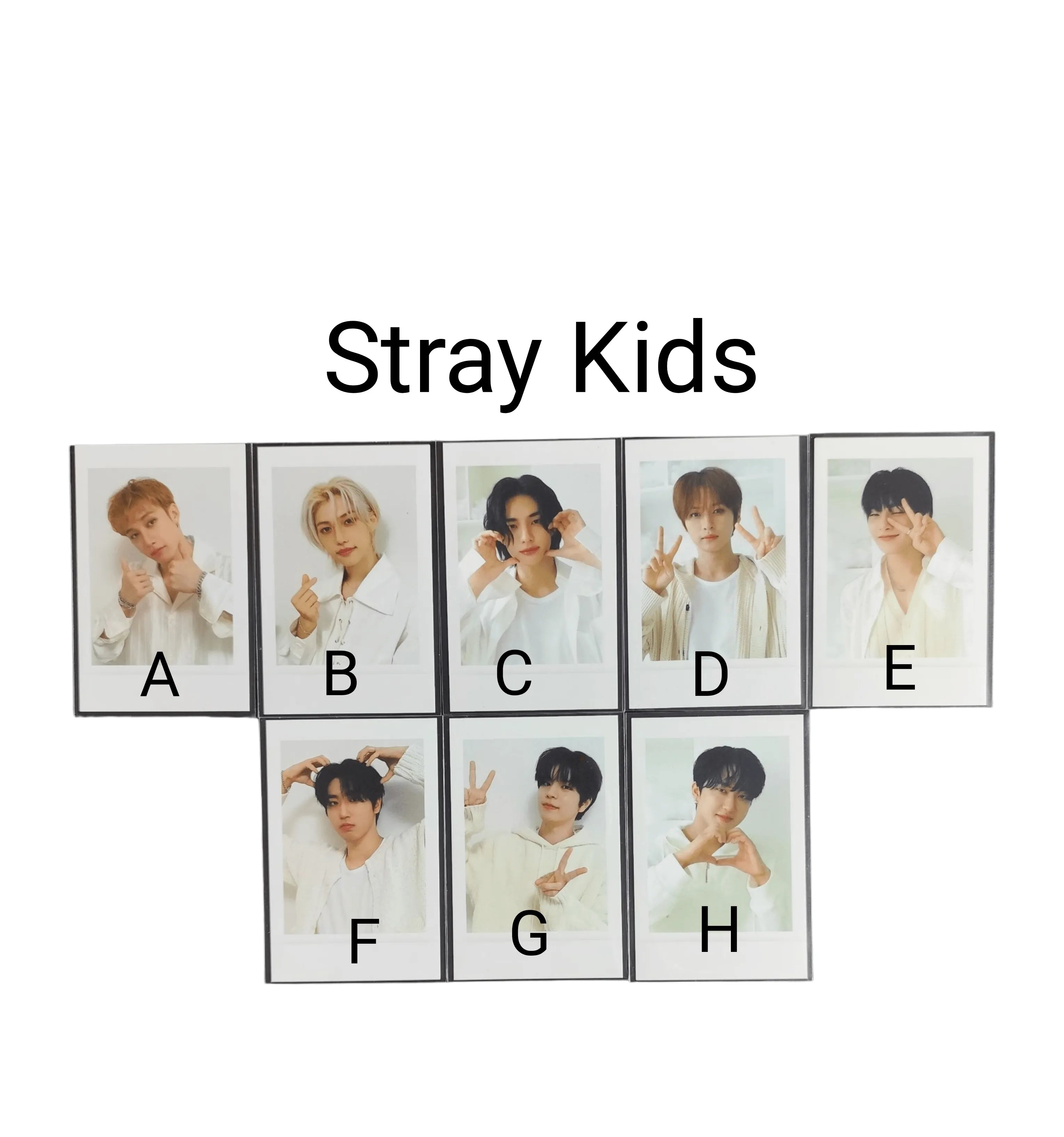 OFFICIAL PHOTOCARD Stray Kids 2024 Season's Greetings - Perfect Day wi ...